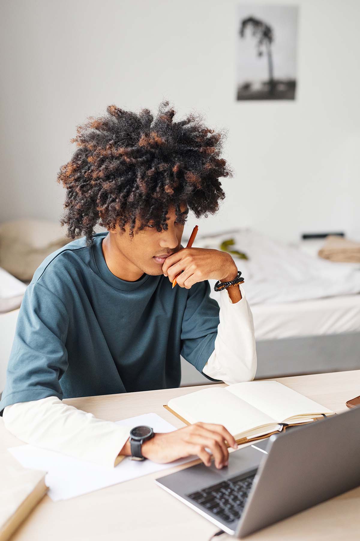 IDAE Pruebas Estandarizadas